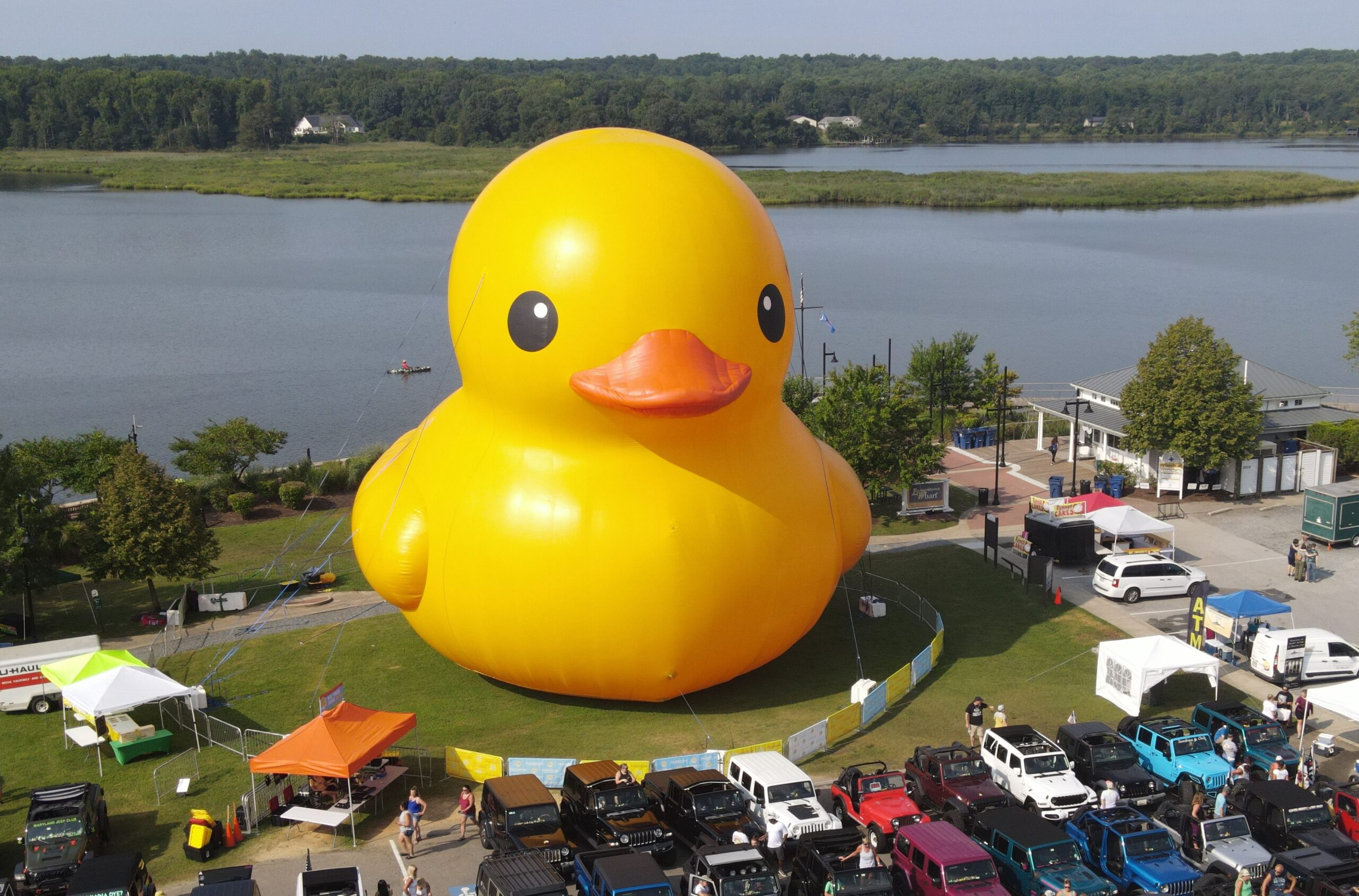 World’s Largest Rubber Duck Makes a Splash in Myrtle Beach! – YMCA of ...